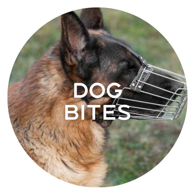 Nevada Dog Bite and Animal Attack Personal Injury Claims - Marathon Law ...